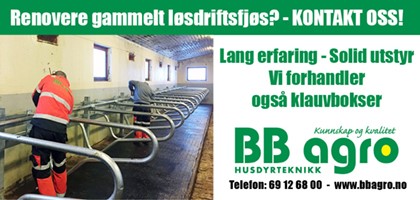 Nye enkeltgener inn i Geno avlsplan | Buskap